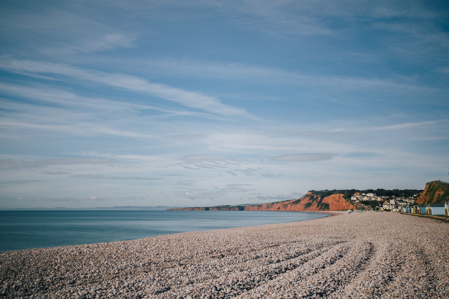 Positive ocean news: May ’26 edition | Marine Conservation Society
