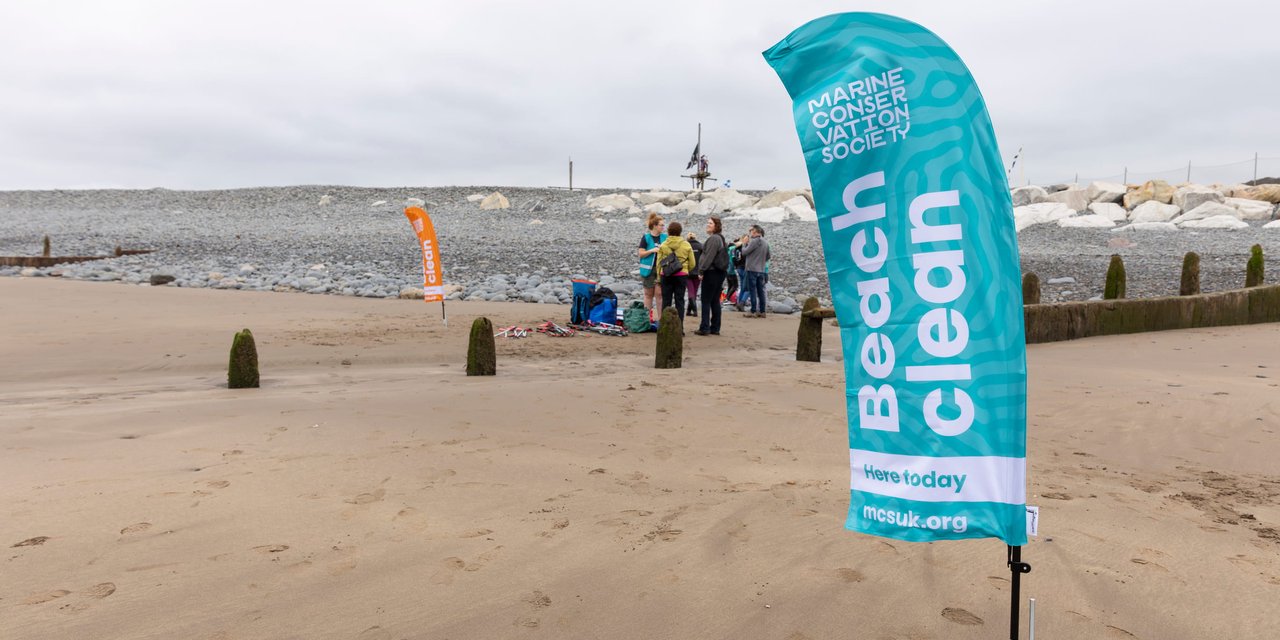 Find a beach clean | Marine Conservation Society