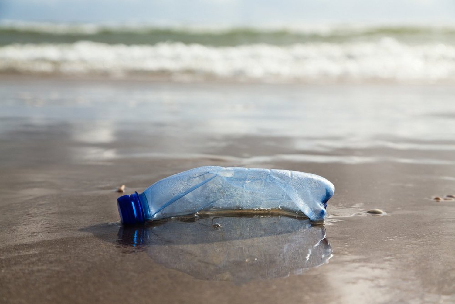 How to reduce ocean plastic pollution in 2026 | Marine Conservation Society