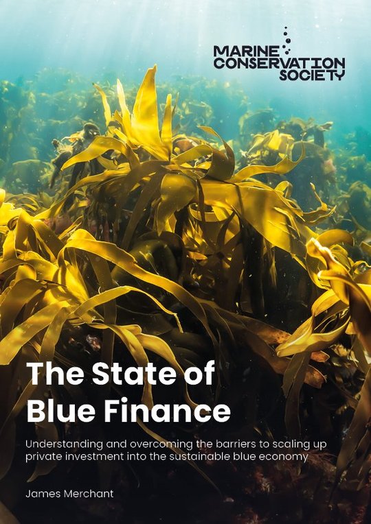 Speaking up for our seas at UK party conferences | Marine Conservation ...