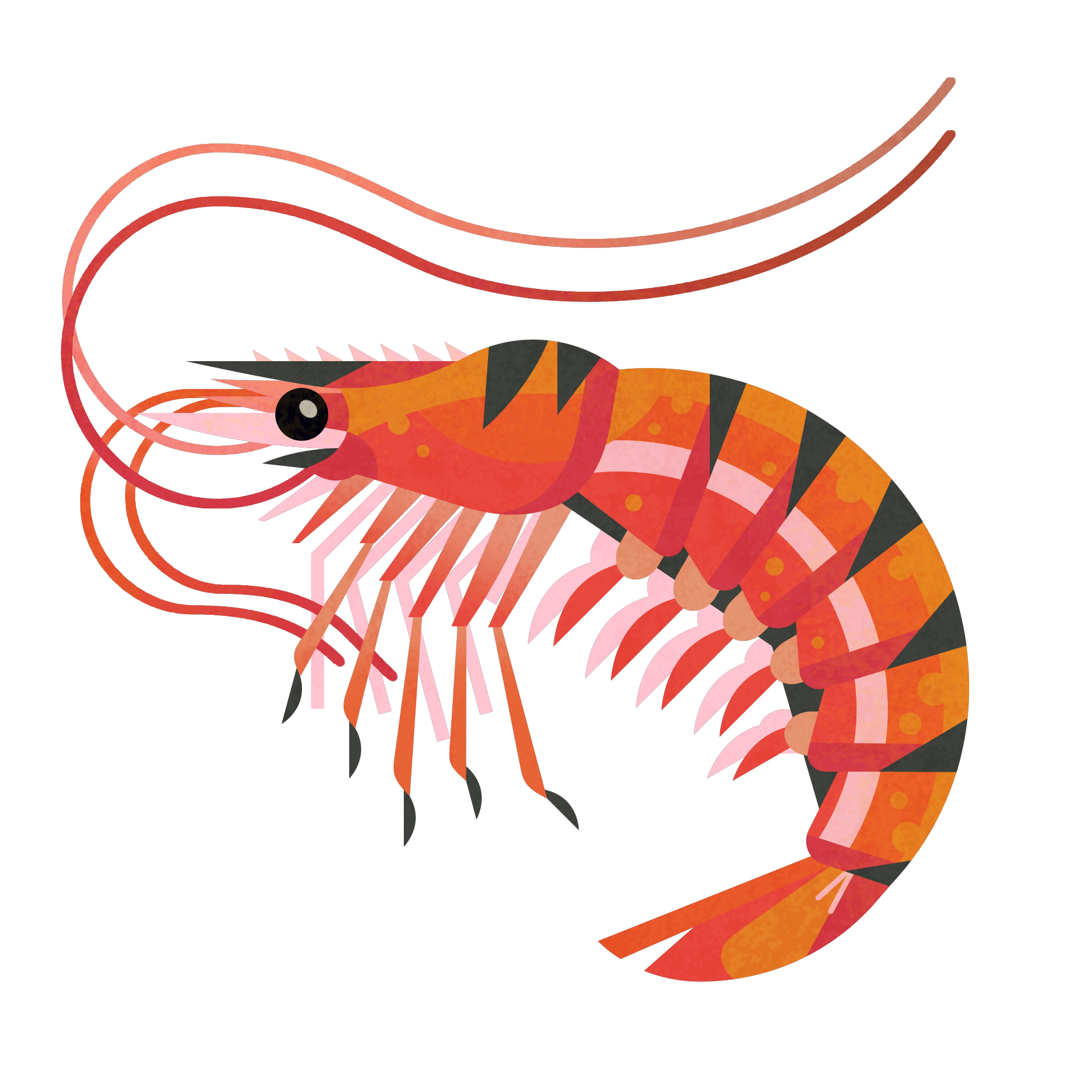 American lobster | Good Fish Guide